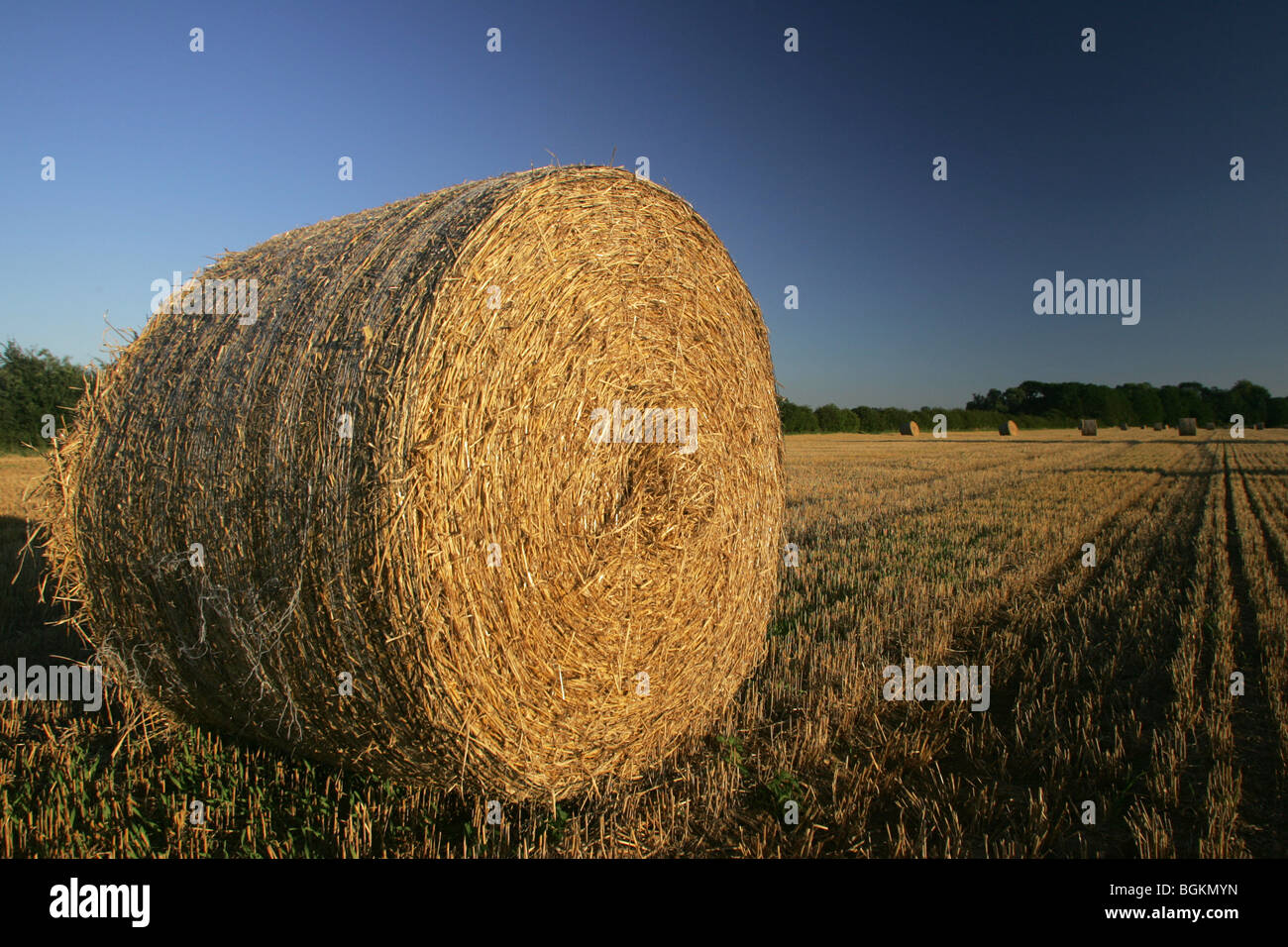 Straw for bales hi-res stock photography and images - Alamy