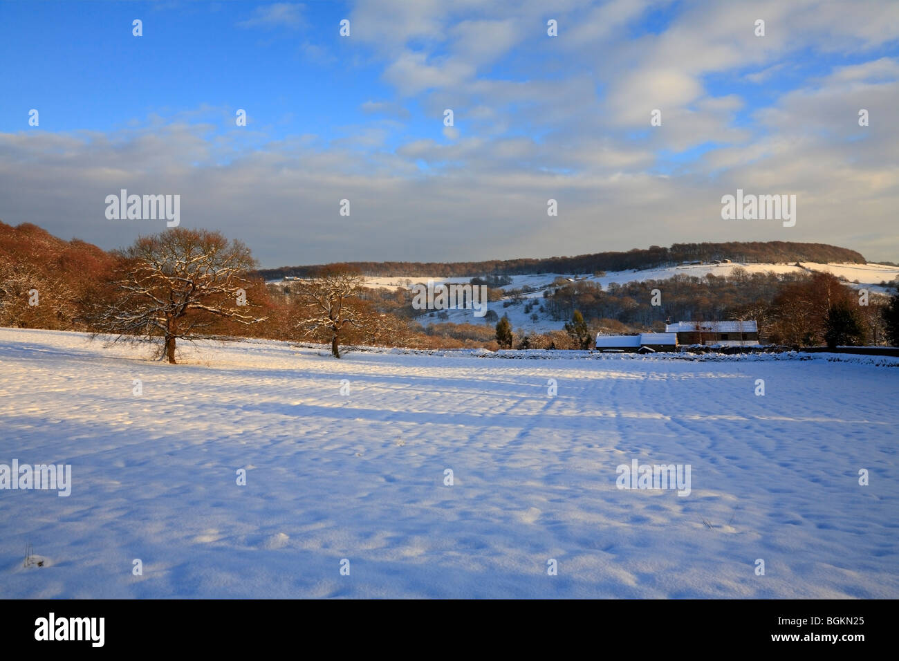 Farmland covered in snow, Honley, Holmfirth, West Yorkshire, England ...