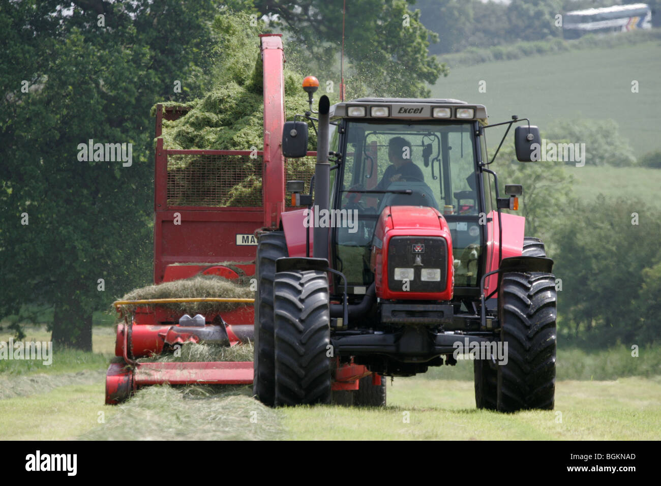 Making Silage To Feed Dairy Cows Stock Photo - Alamy