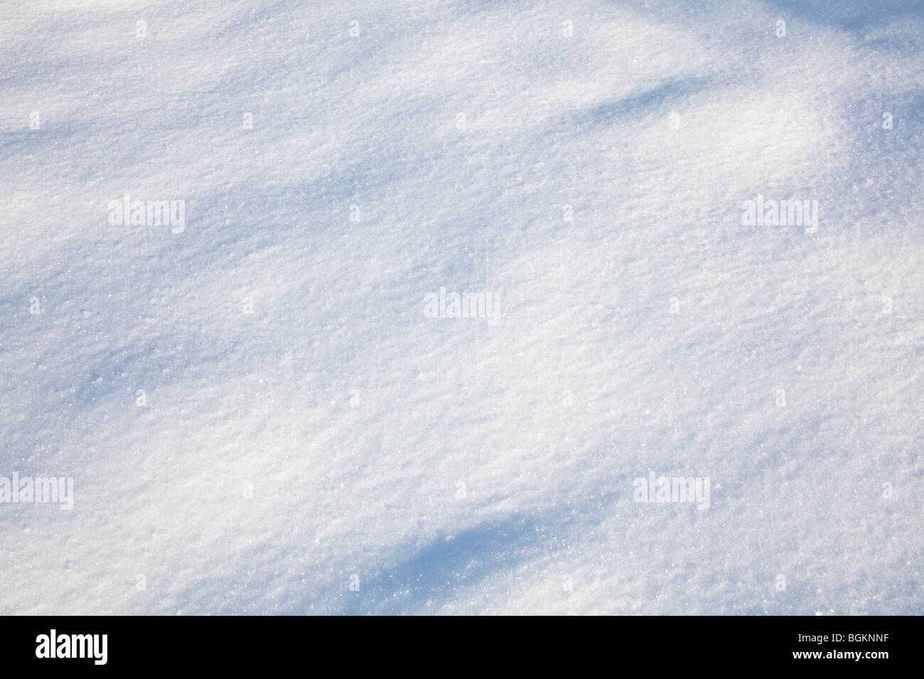 Freshly fallen snow, Hampshire, England Stock Photo - Alamy