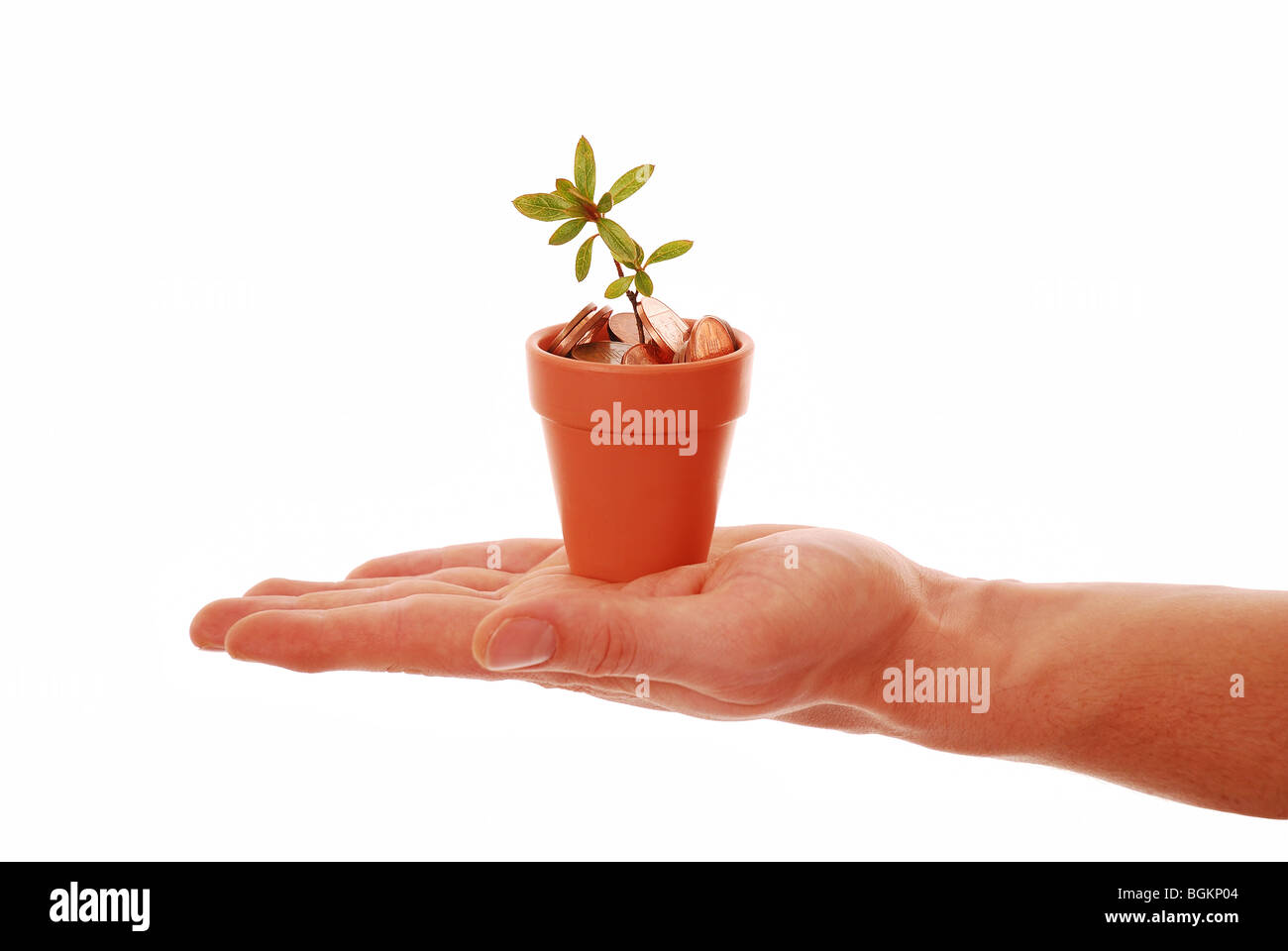 No money concept hand Cut Out Stock Images & Pictures - Alamy