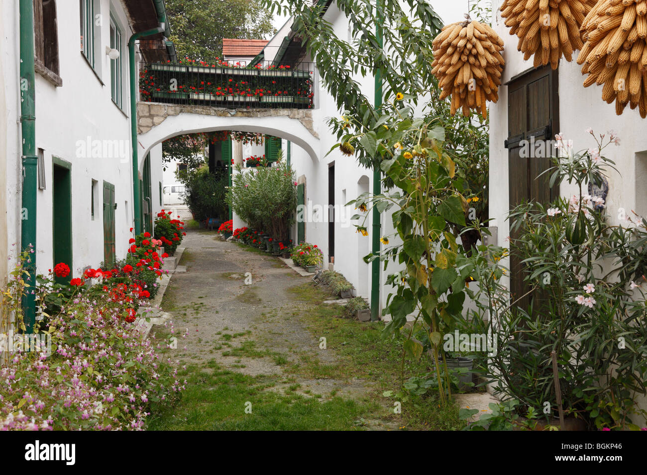Alley in Moerbisch am See, Neusiedler See, Burgenland, Austria, Europe ...