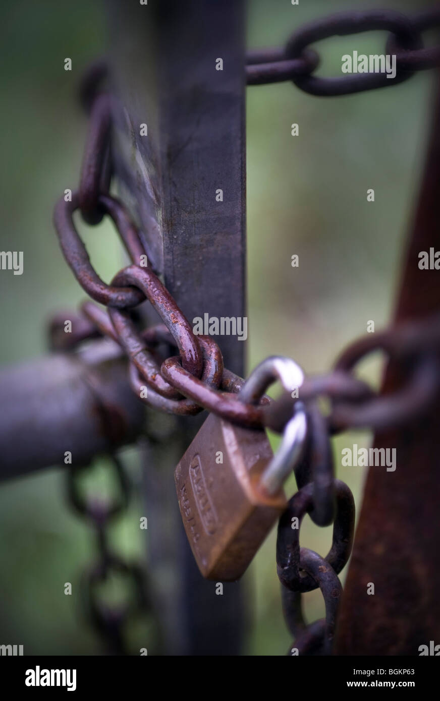 padlock securing chains around iron gate and gatepost Stock Photo - Alamy
