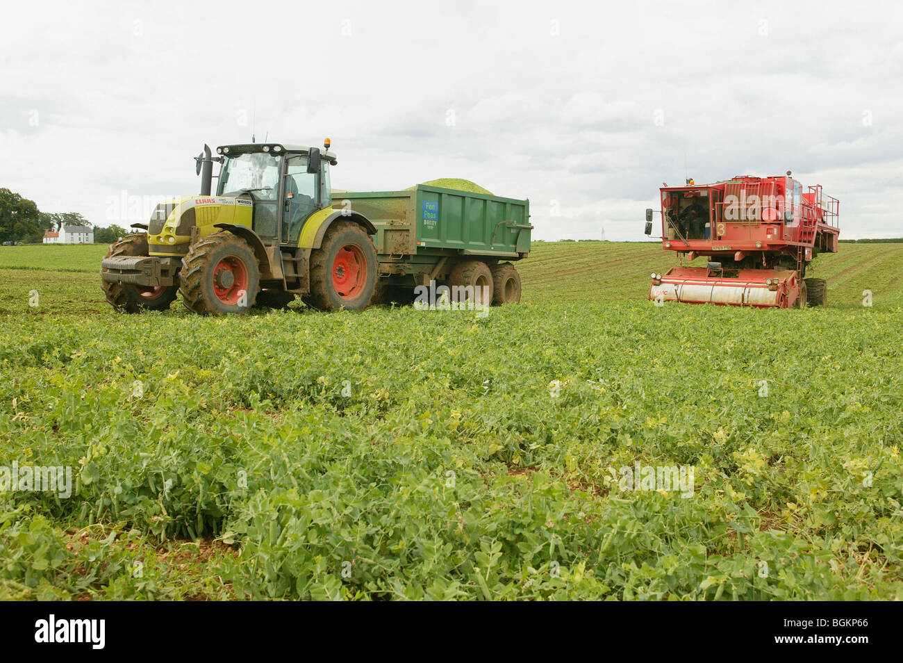 Vining hi-res stock photography and images - Alamy