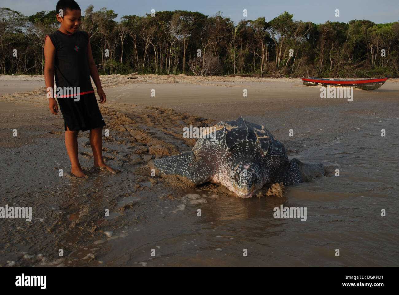 Fat teenager boy hi-res stock photography and images - Alamy