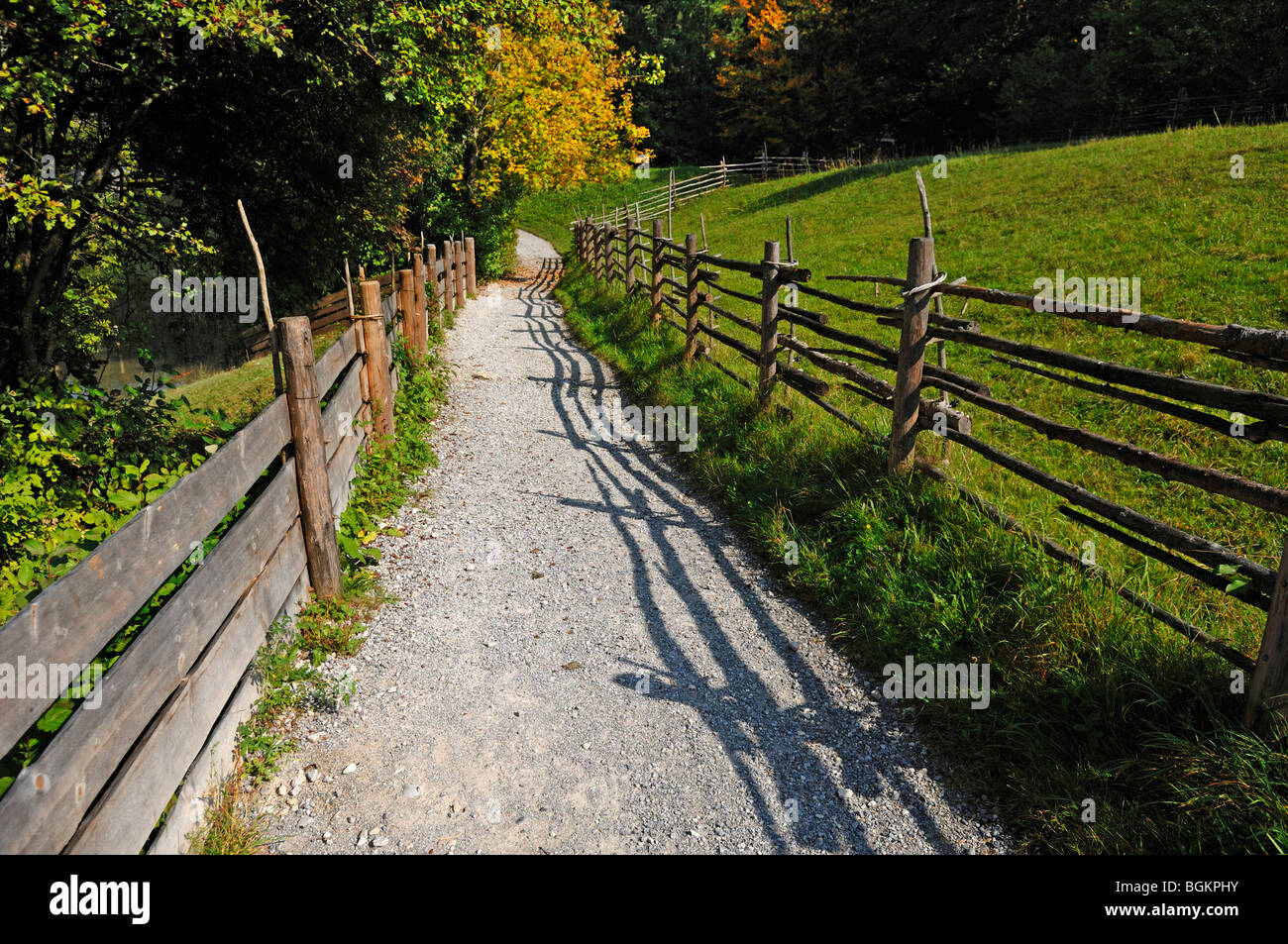 Footpath bordered with wooden fences, outdoor museum, Freilichtmuseum ...