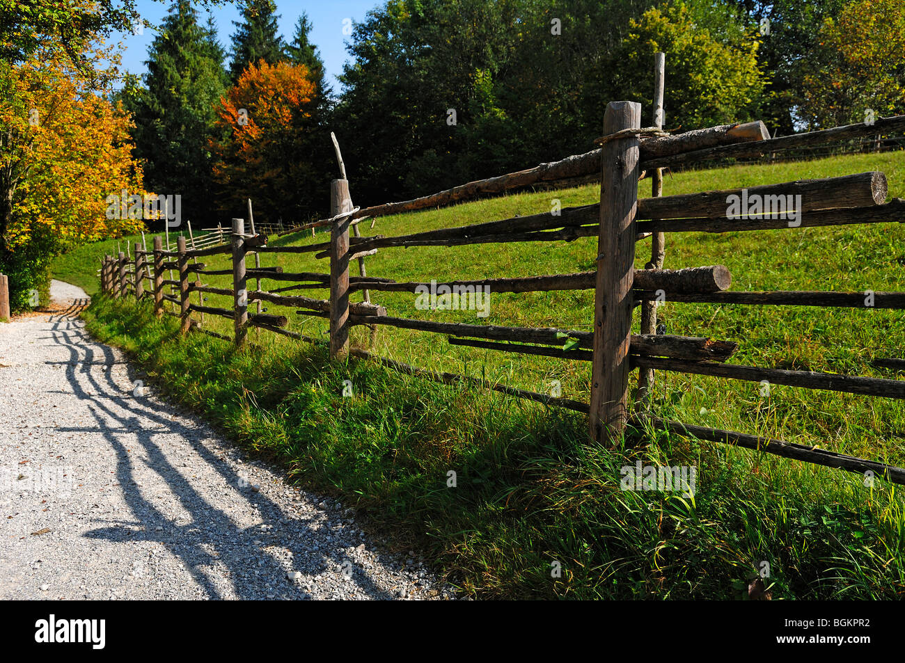 Museum fencing hi-res stock photography and images - Alamy