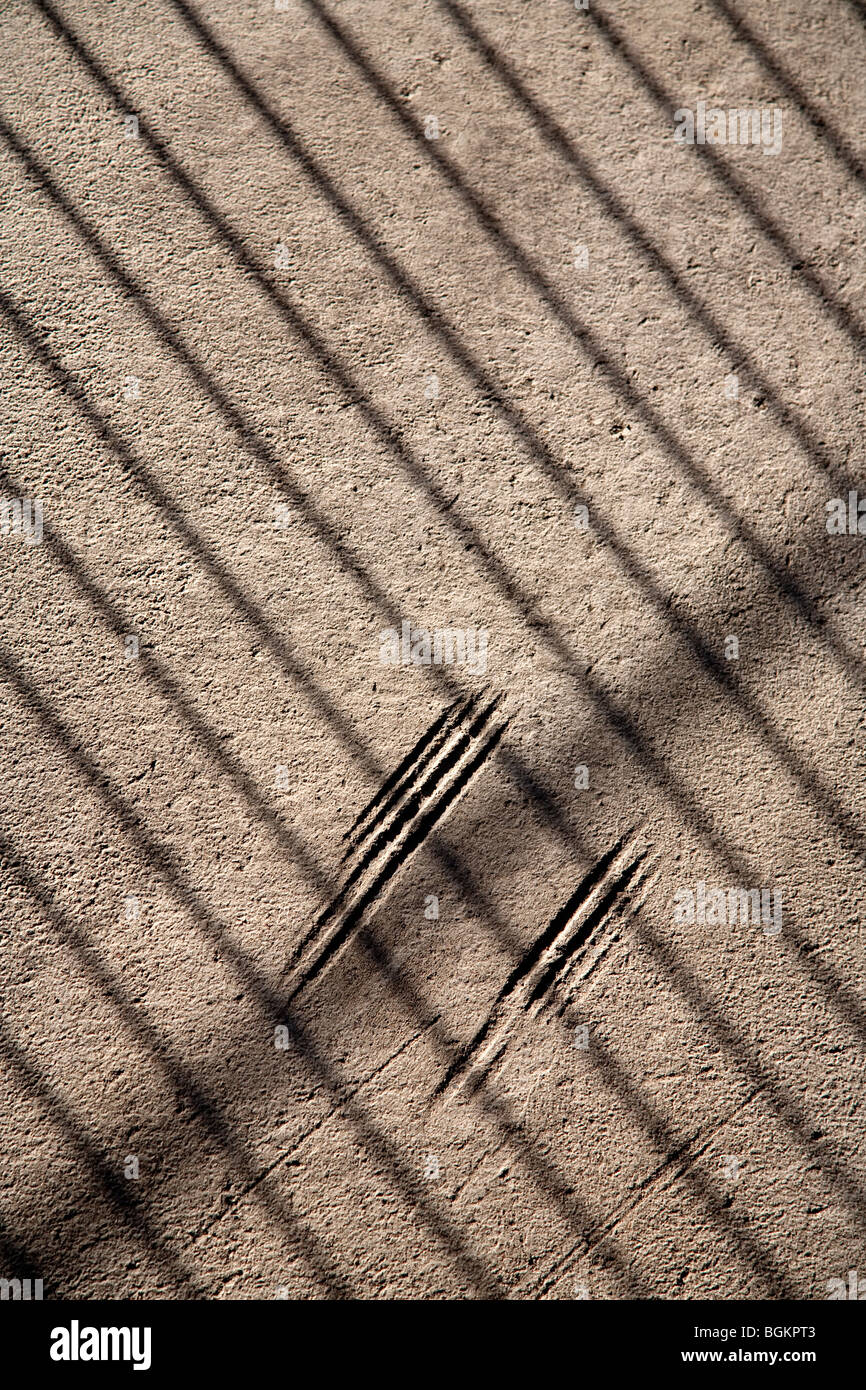 Repetitive vertical straight lines hi-res stock photography and images ...