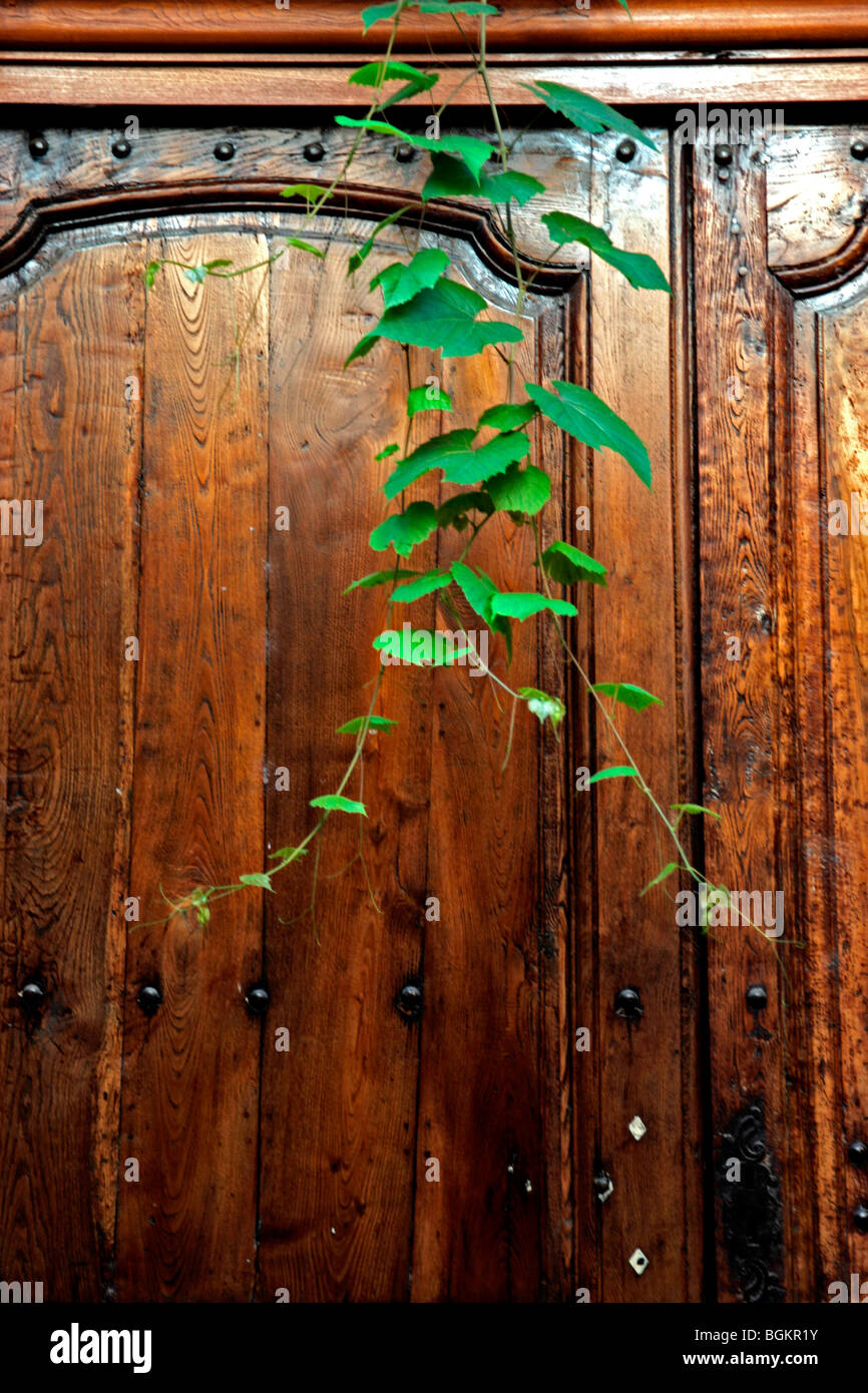 Vine door hi-res stock photography and images - Alamy