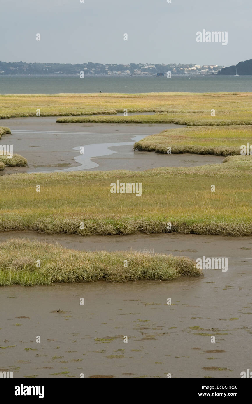 Saltmarsh and Estuary, Sourthern England Stock Photo - Alamy