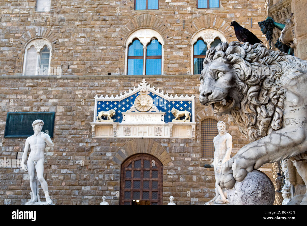 The Marzocco Lion and statue of David , Piazza della Signoria, Firenze ...