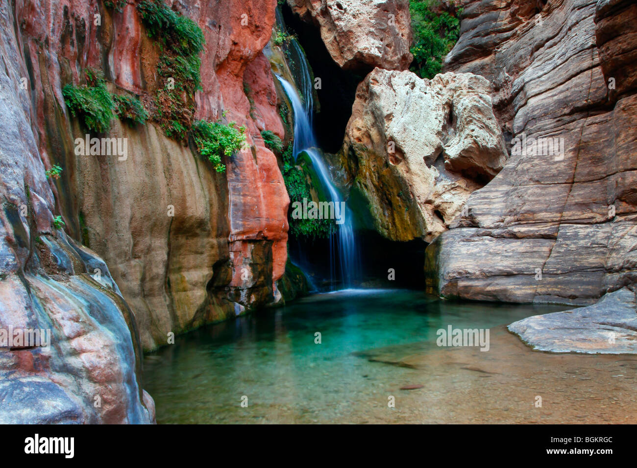 Elves Chasm, Grand Canyon, Arizona Stock Photo - Alamy