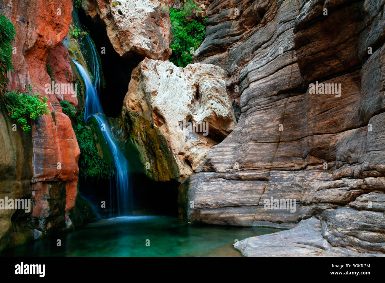 Elves Chasm, Grand Canyon, Arizona Stock Photo - Alamy