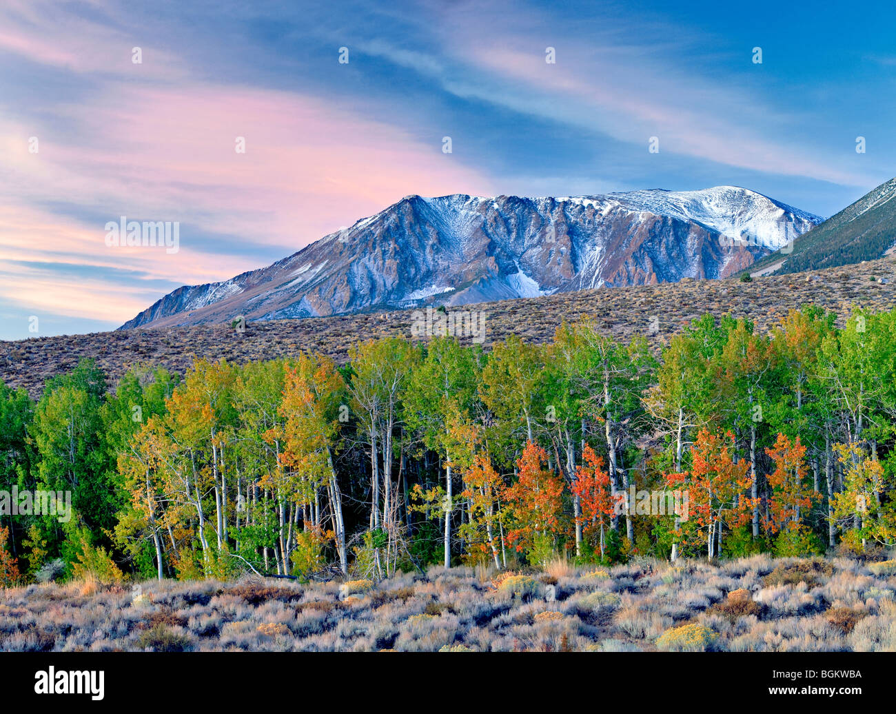 Eastern Sierra Mountains with sunrise and fall colored aspens and snow ...