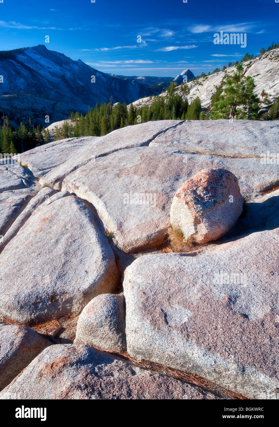 Granite rock and Half Dome. Yosemite National Park, California Stock ...