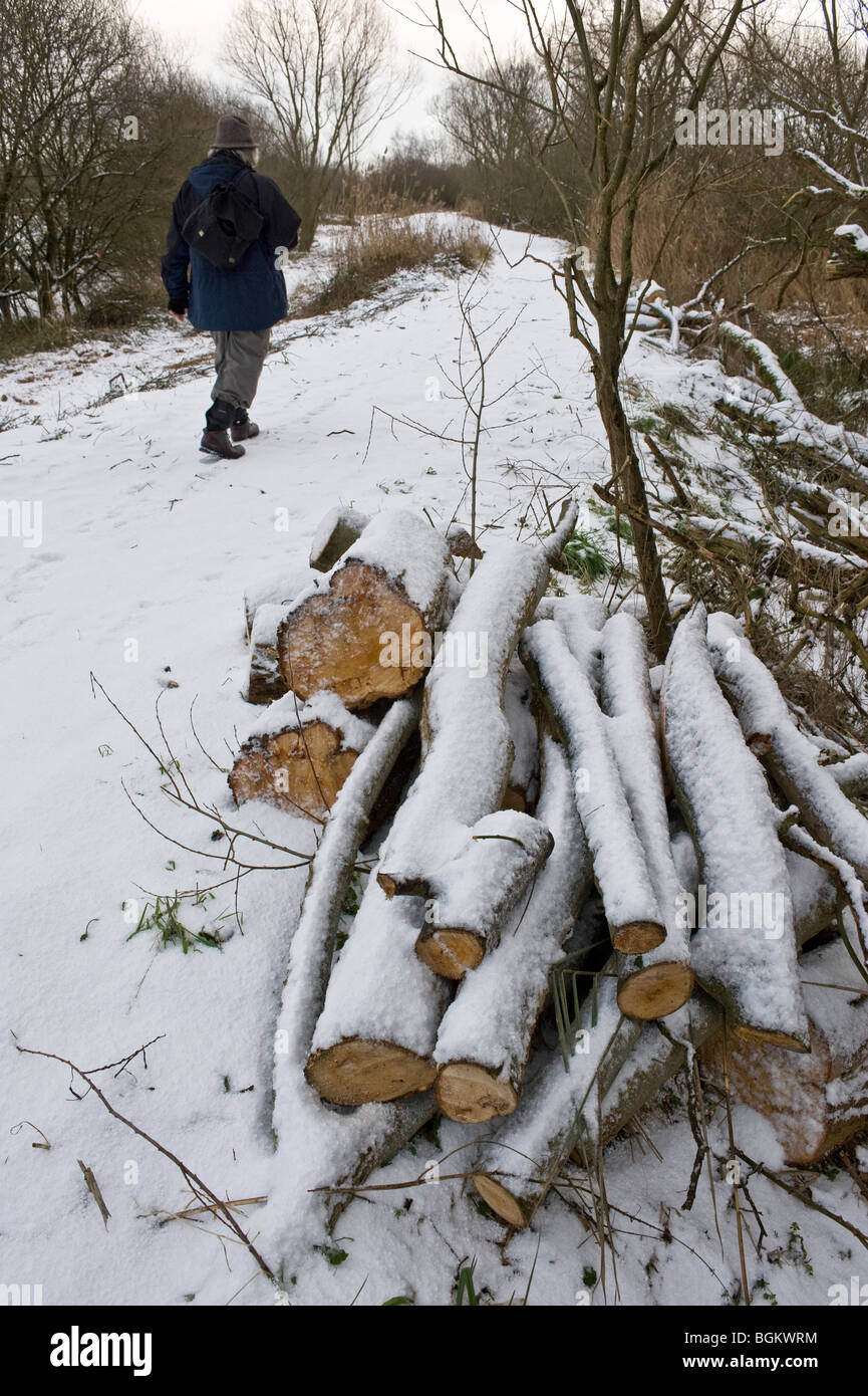 Levie hi-res stock photography and images - Alamy