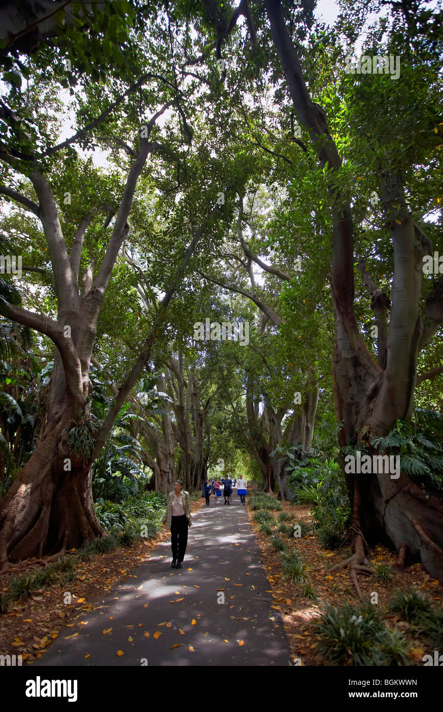 Botanic garden adelaide south australia hi-res stock photography and ...