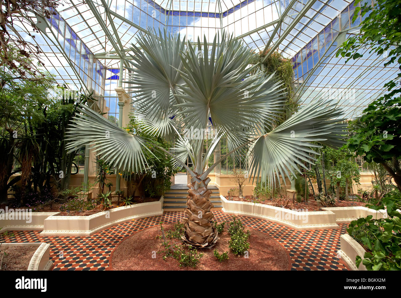 Botanical Gardens Adelaide South Australia Stock Photo - Alamy