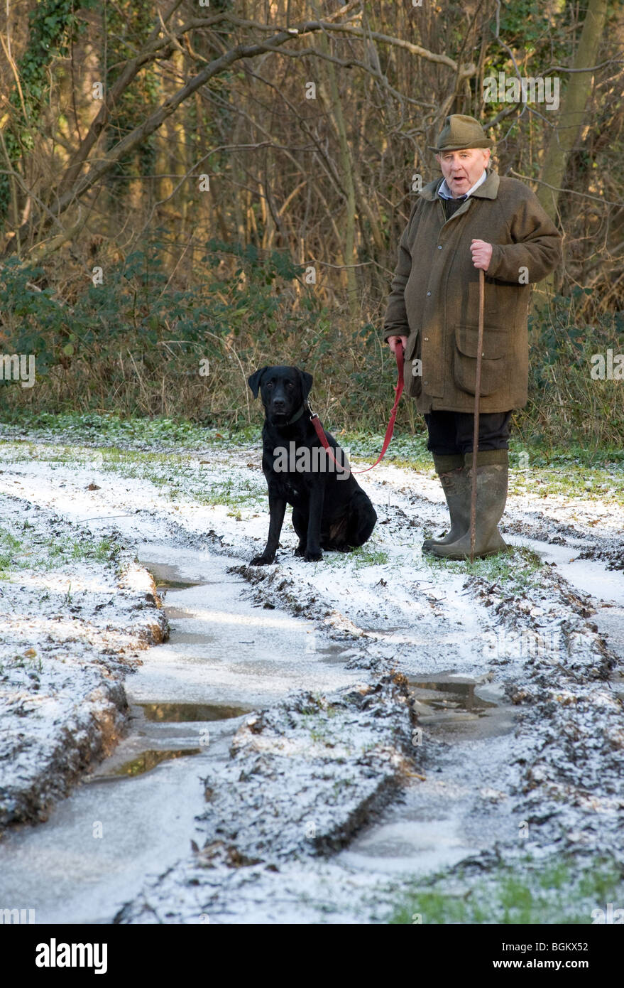Man walking dog country lane hi-res stock photography and images - Alamy