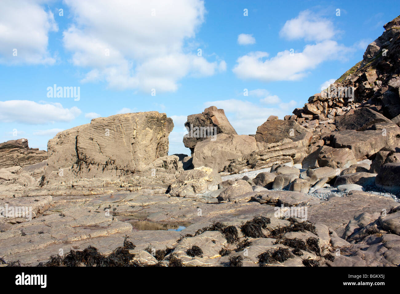 Millook beach hi-res stock photography and images - Alamy