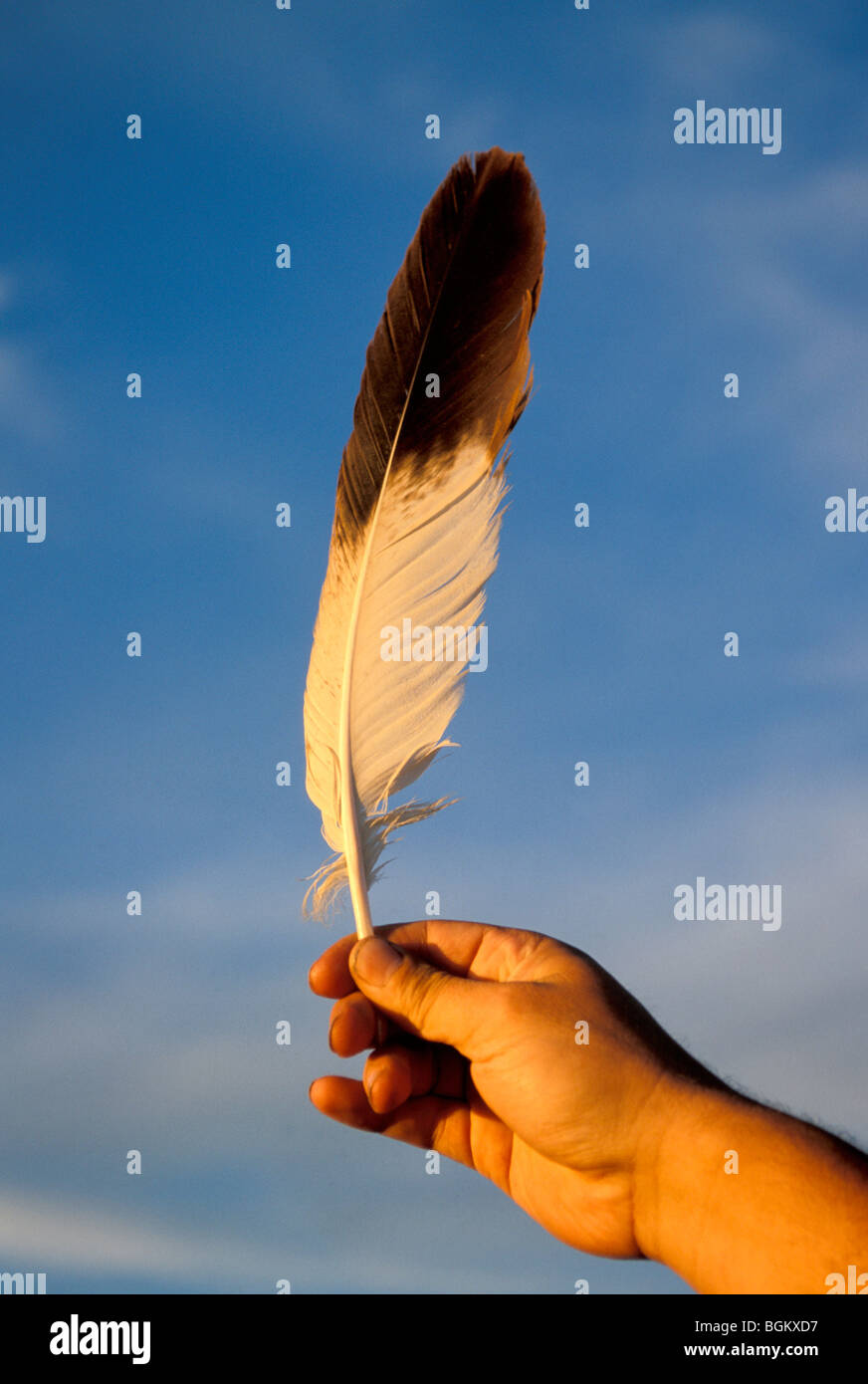 Native American man's hand holds a sacred eagle feather up high towards ...