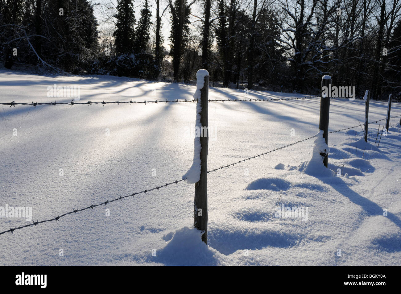 Fence posts in snow hi-res stock photography and images - Alamy