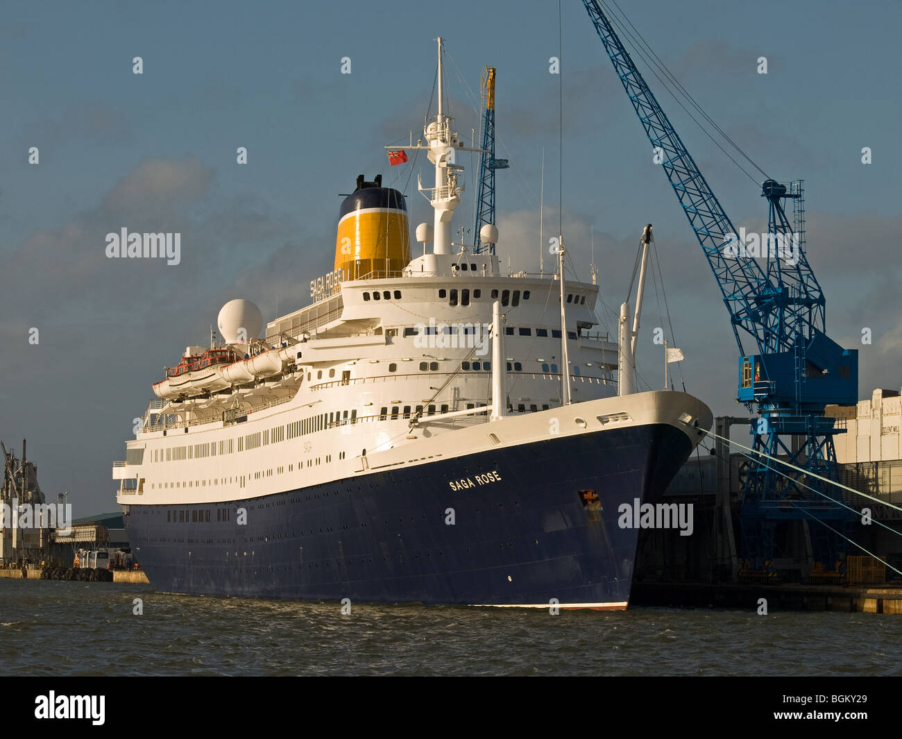 Saga Rose High Resolution Stock Photography and Images - Alamy