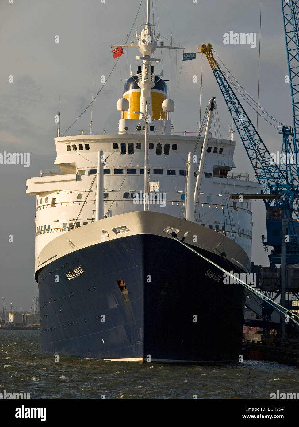 Saga rose hi-res stock photography and images - Alamy