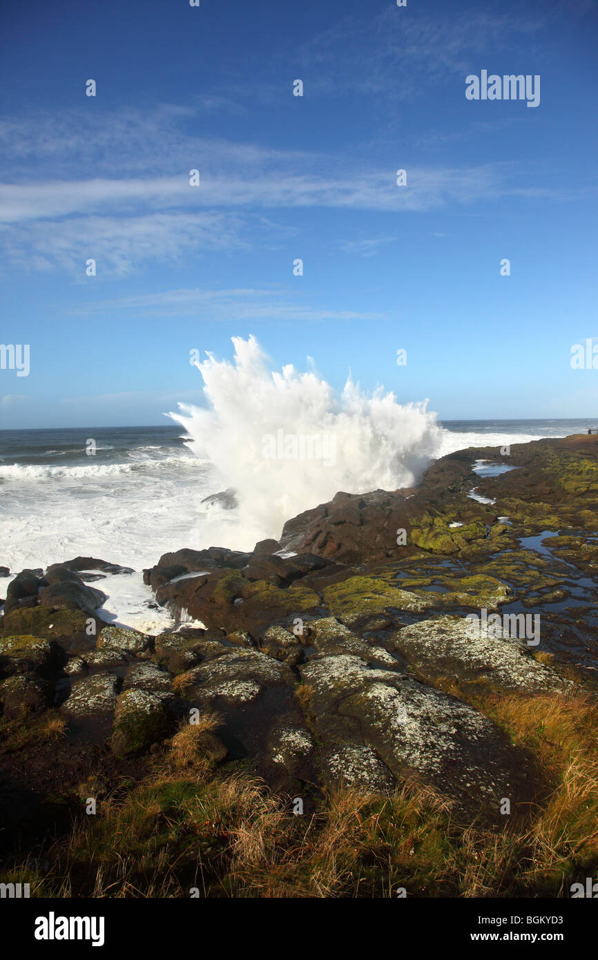 Wave splashing against rocks on Oregon Coast Stock Photo - Alamy