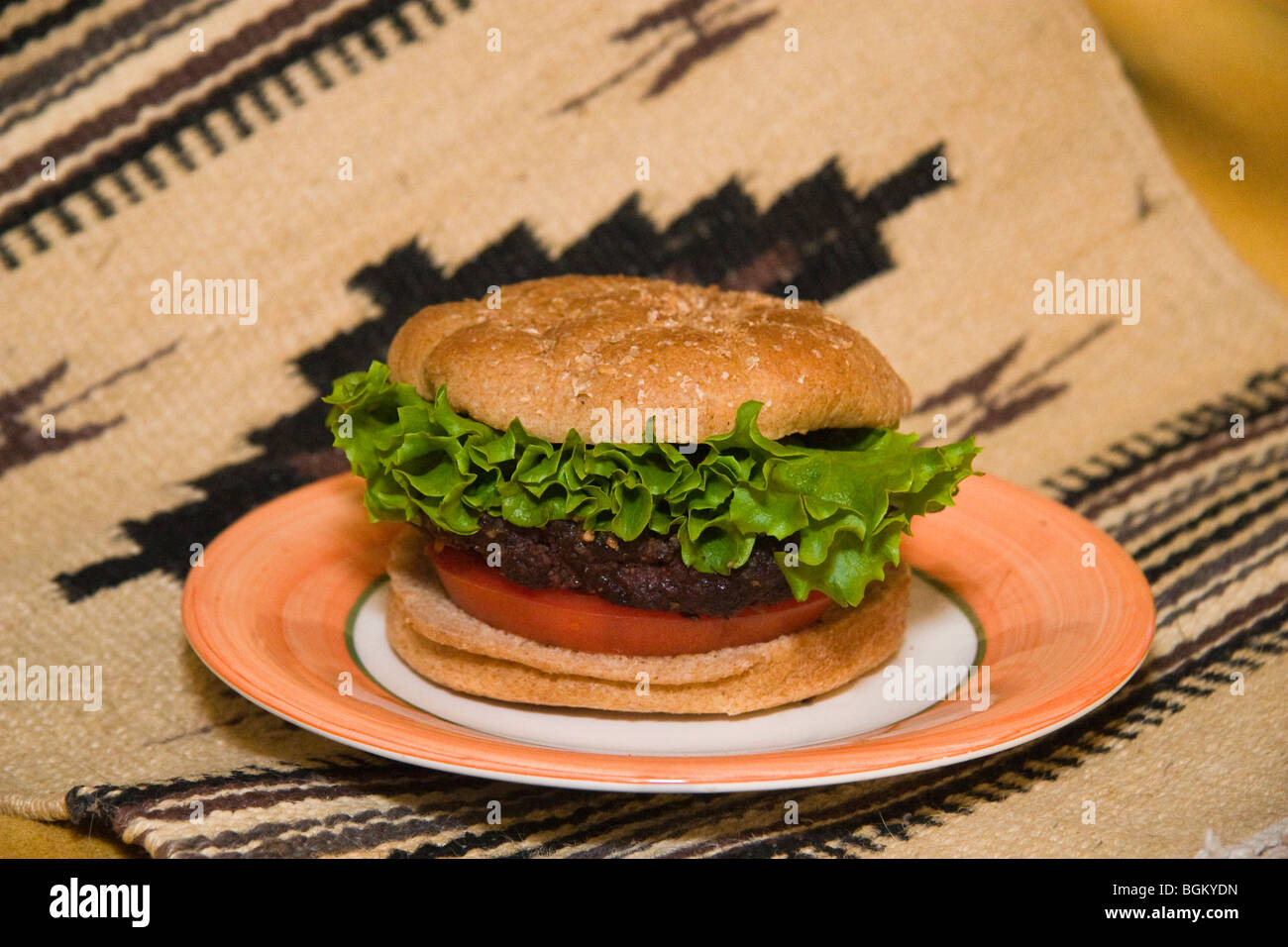 Bison herds are raised on tribal farms today for meat distributed to ...