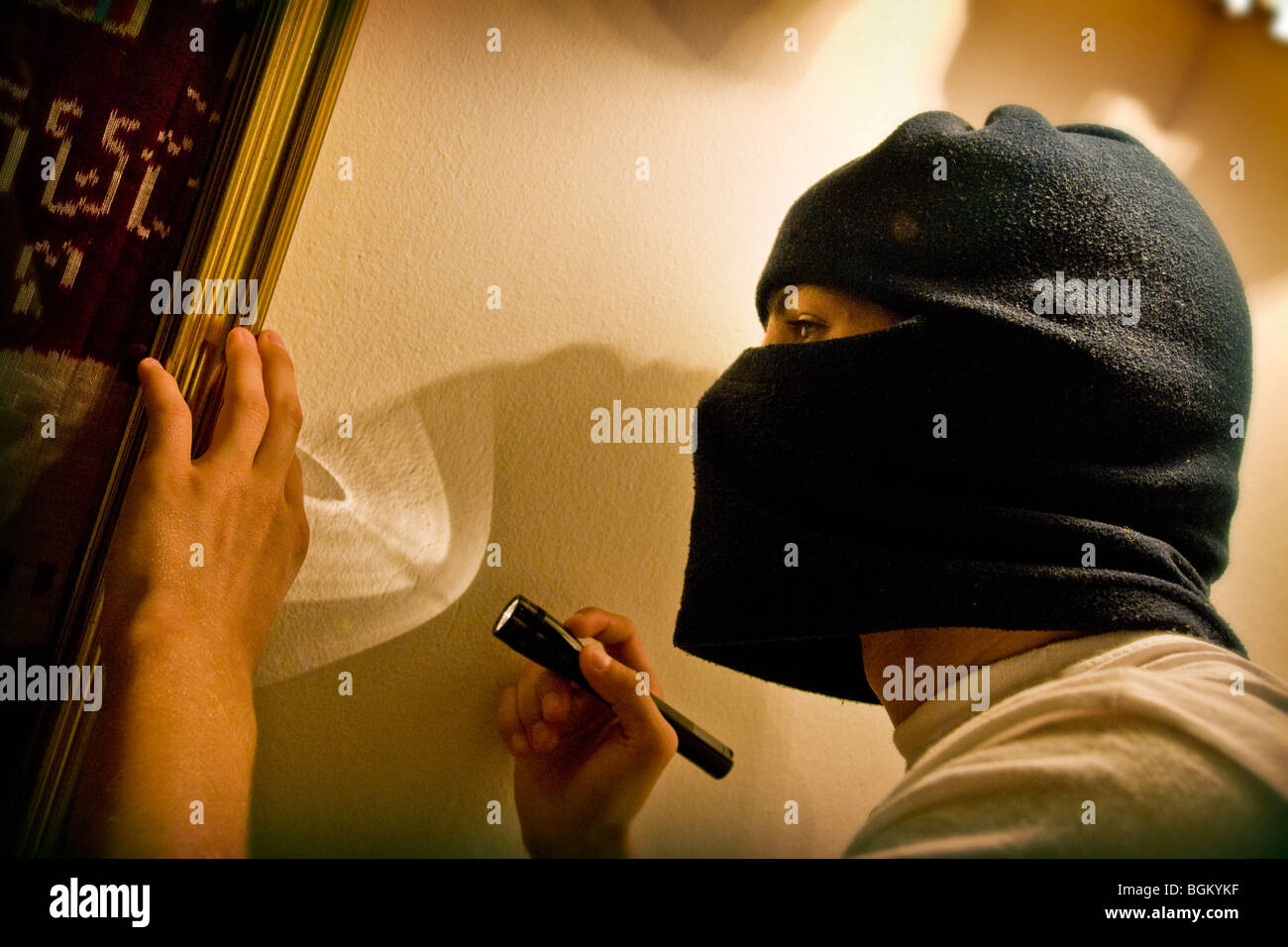 Thief thieves hi-res stock photography and images - Alamy
