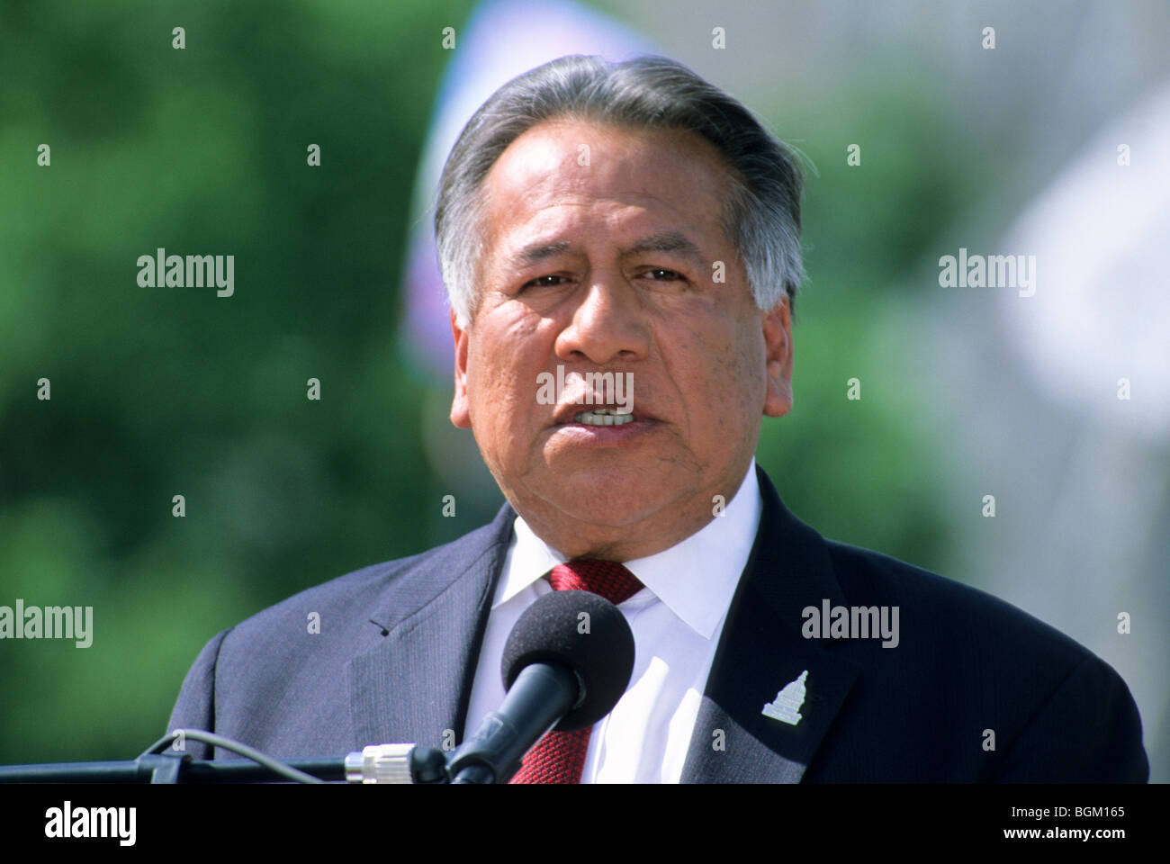 American Indian (Seminole-Creek) painter and sculptor Enoch Kelly Haney ...