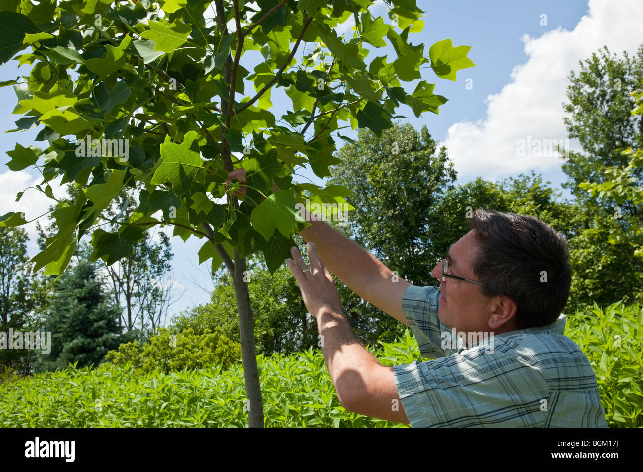 Seneca indian hi-res stock photography and images - Alamy