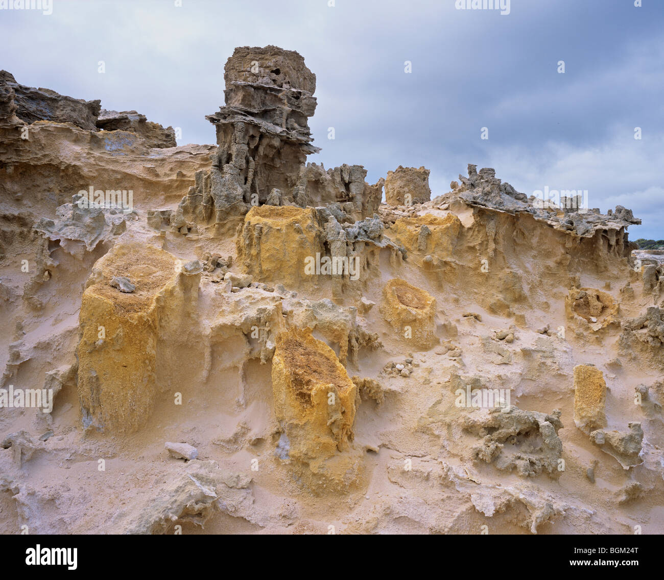 Petrified Forest at Cape Bridgewater, Victoria, Australia Stock Photo ...