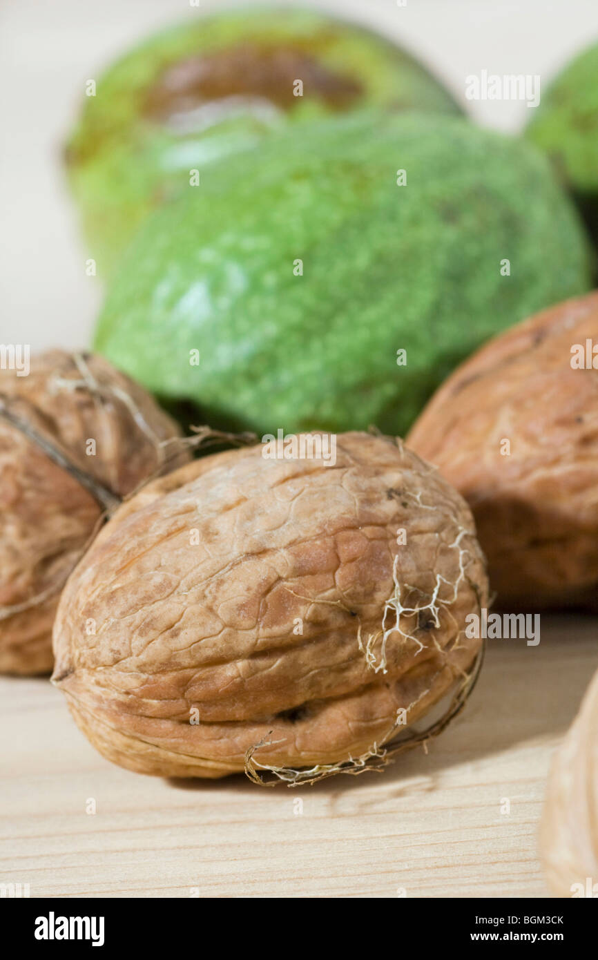 Walnuts (Juglans regia Stock Photo - Alamy