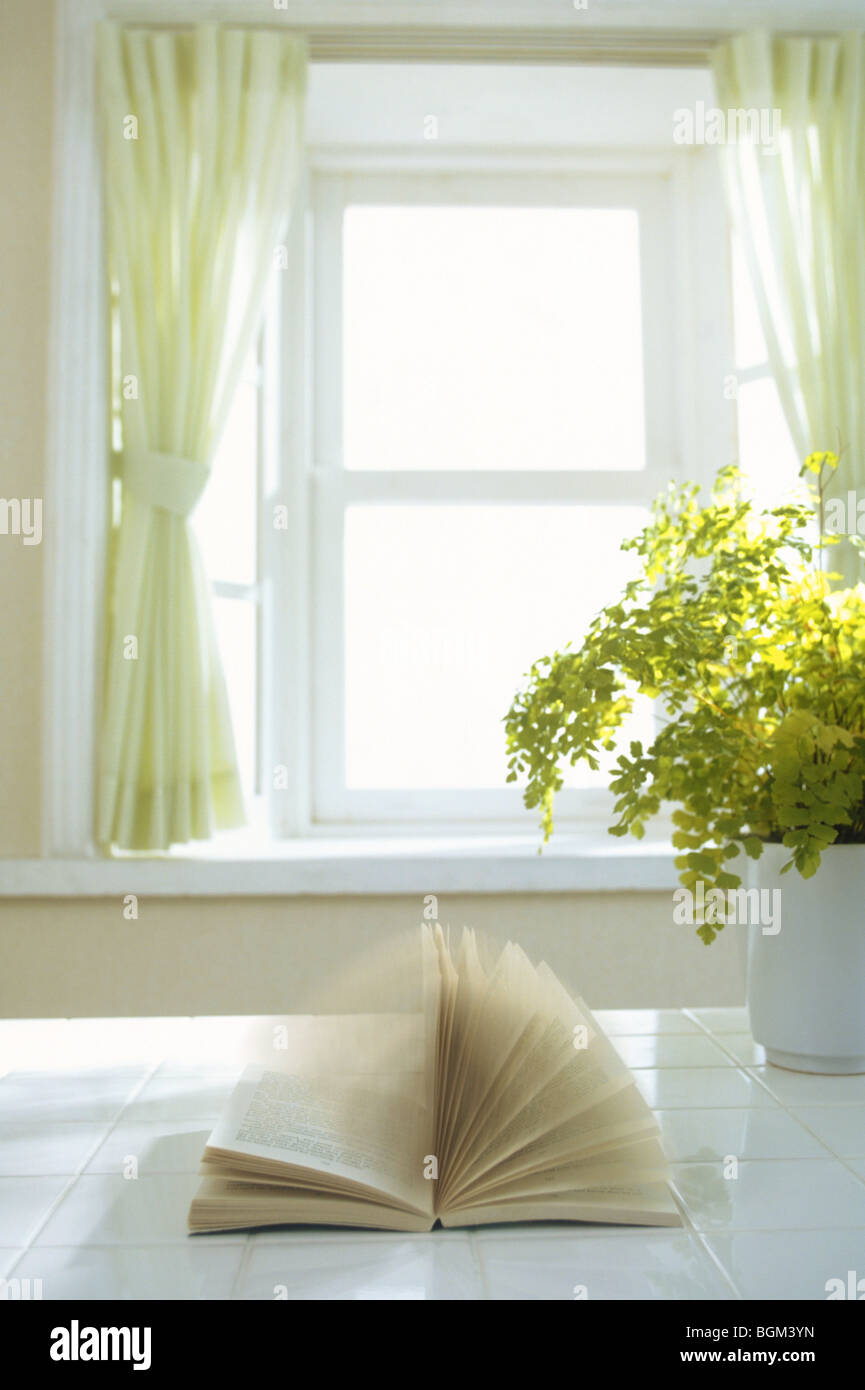 Wind book hi-res stock photography and images - Alamy