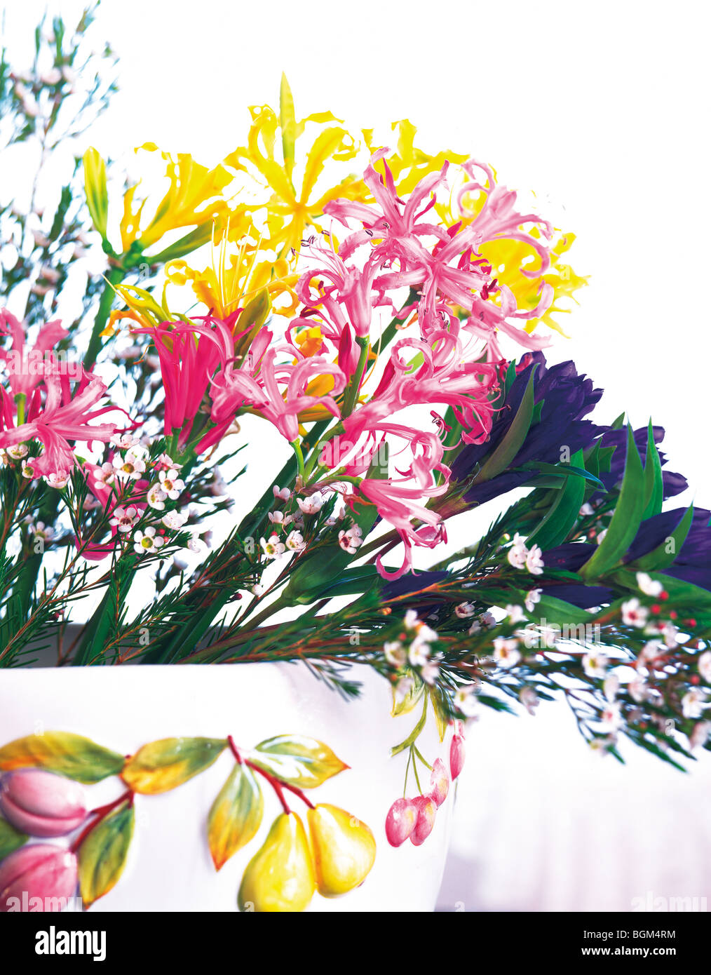 Nerine flowers hi-res stock photography and images - Alamy