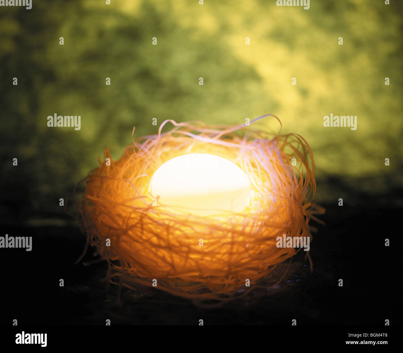 Glowing egg in a nest Stock Photo - Alamy