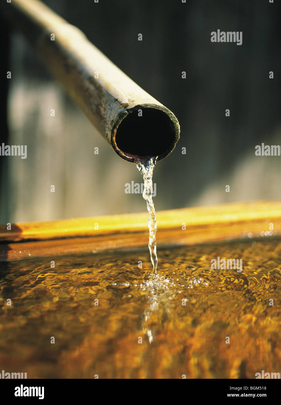 Bamboo pipe hi-res stock photography and images - Alamy