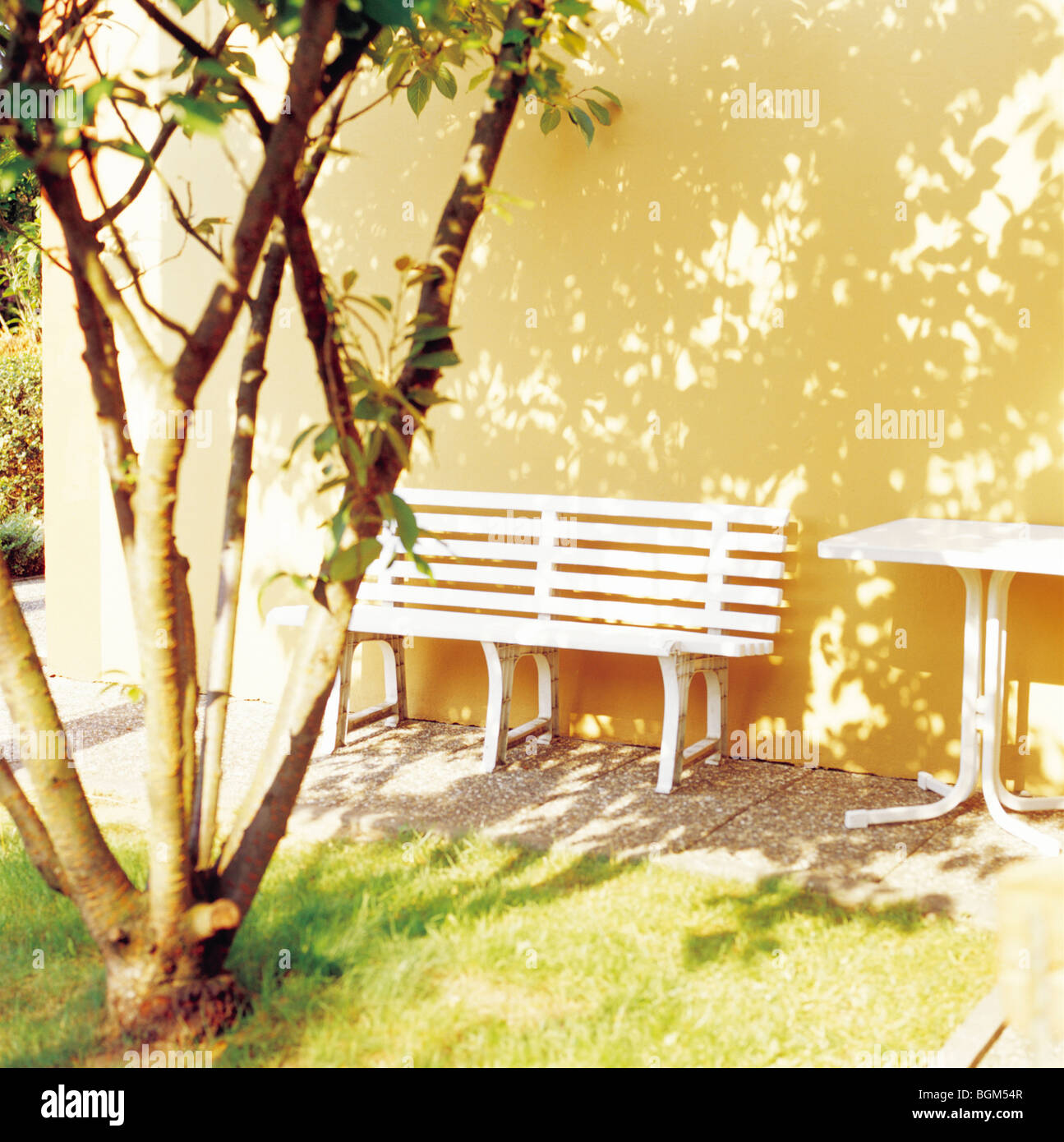 Tree casting shadows on wall next to park bench Stock Photo - Alamy