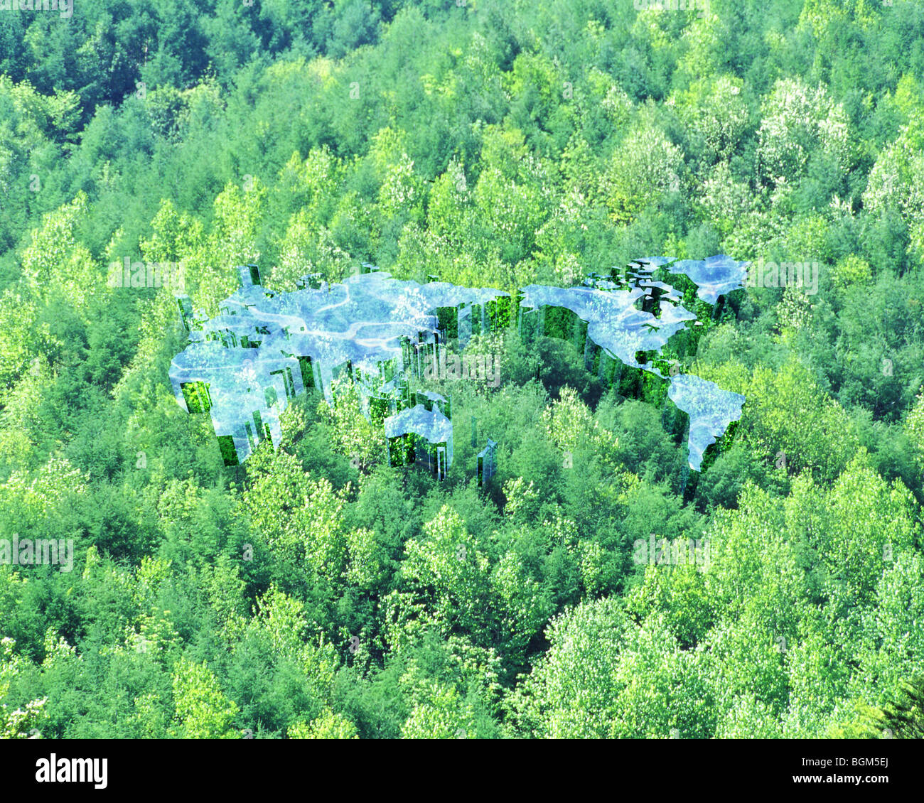 Map of the world over a forest Stock Photo - Alamy