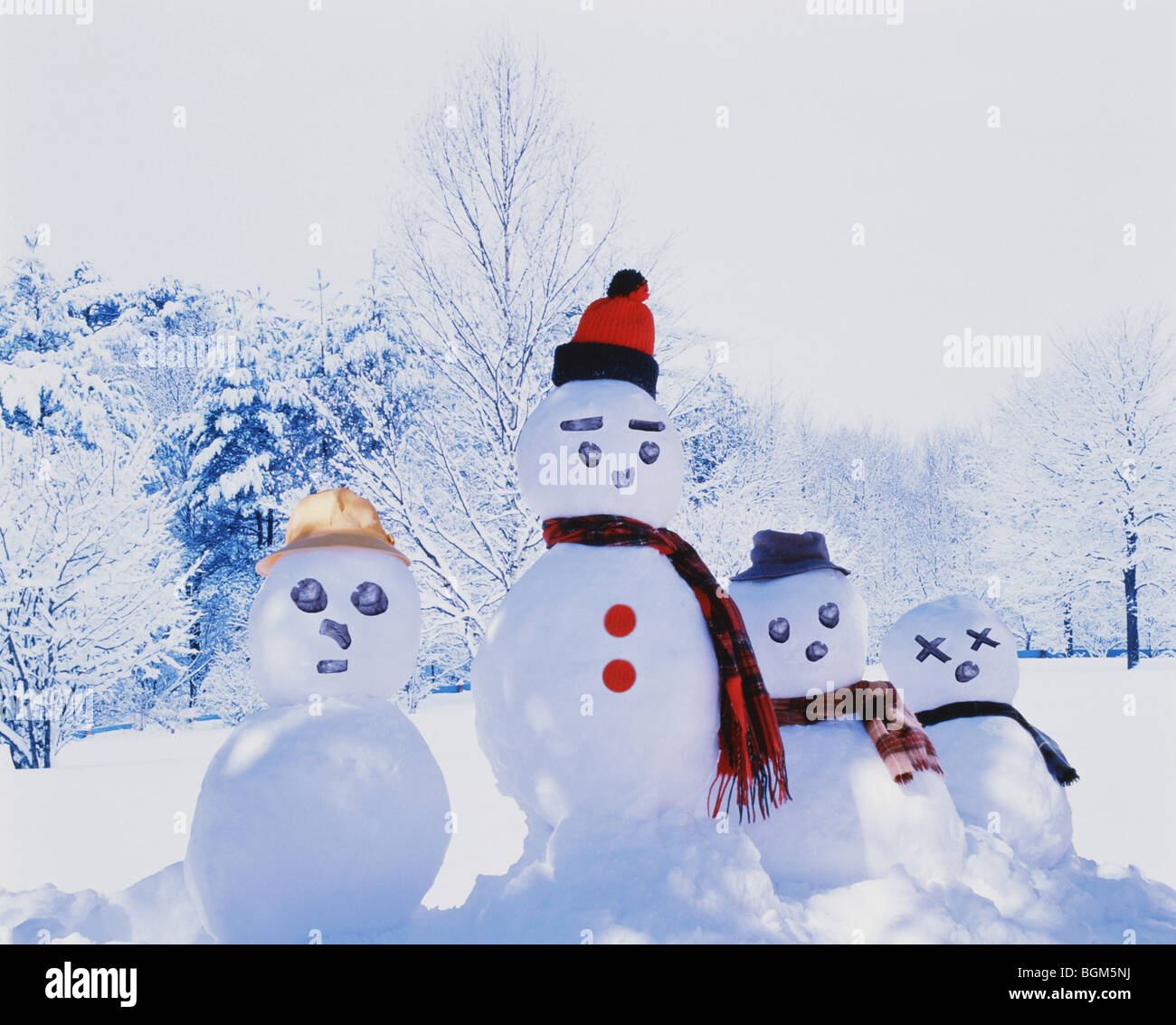 Snowman family in front of winter trees Stock Photo - Alamy