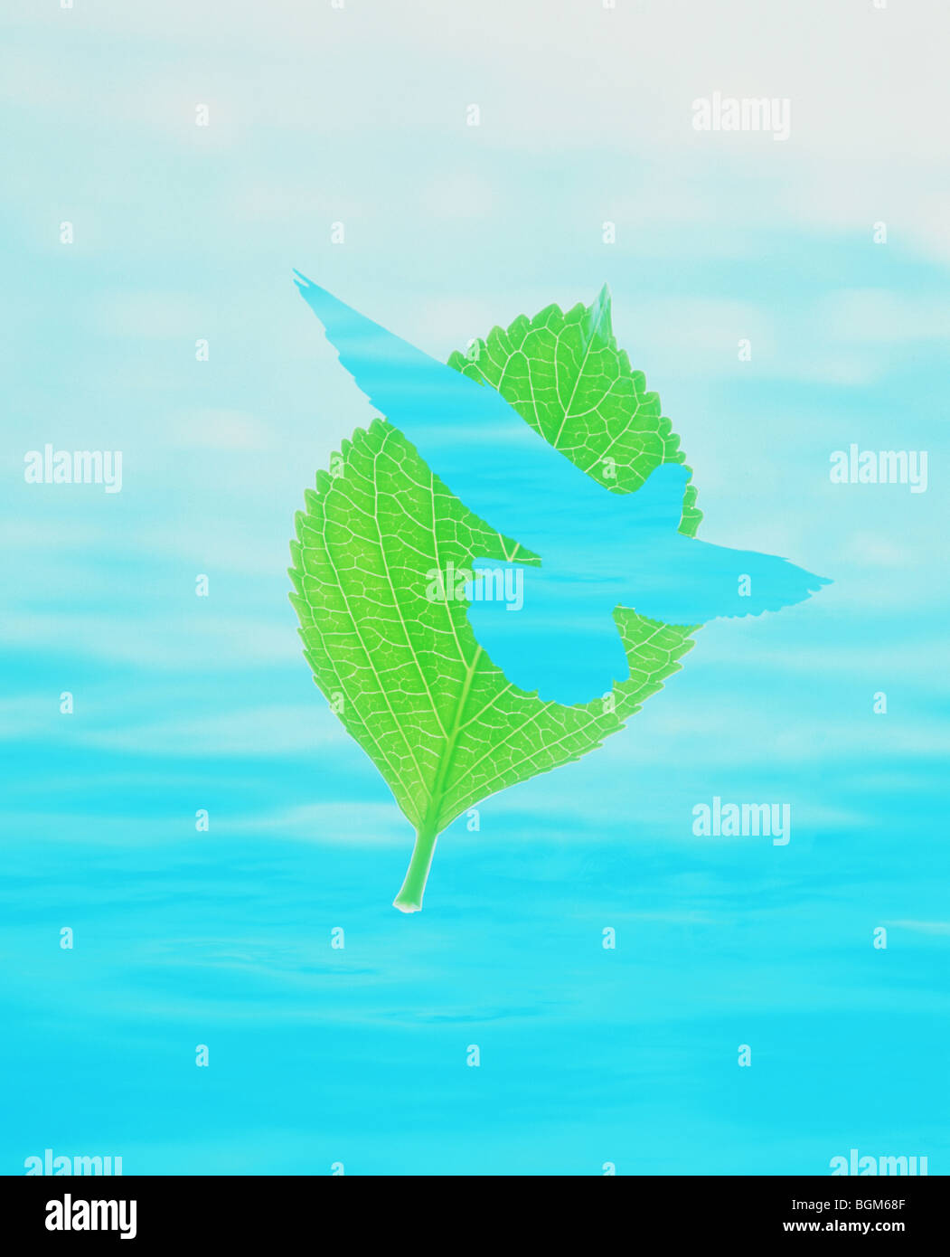Green leaf with blue bird Stock Photo - Alamy
