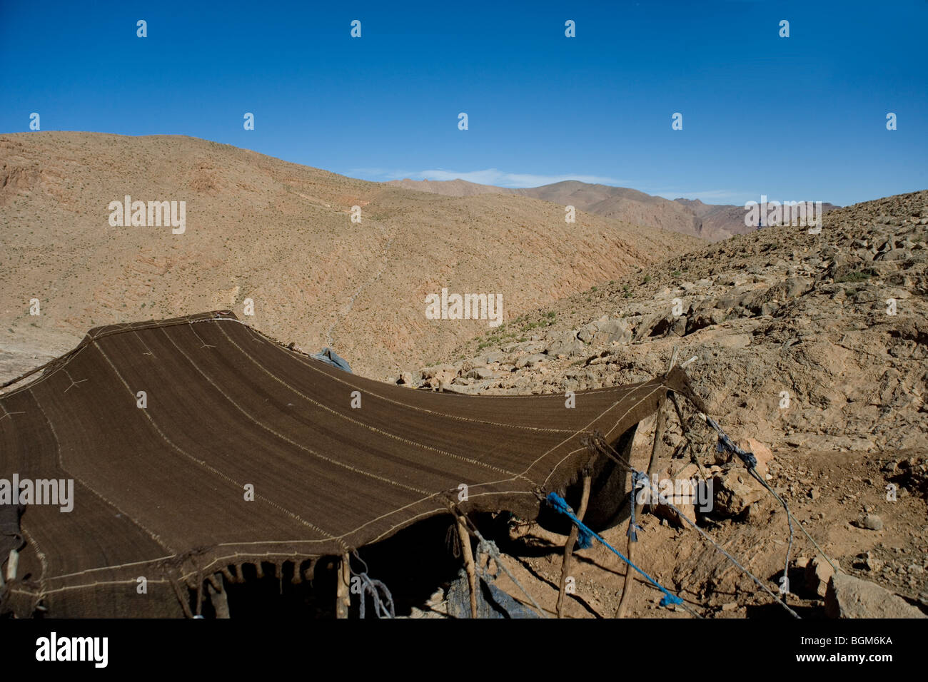 Nomadic arabs in on of hi-res stock photography and images - Alamy