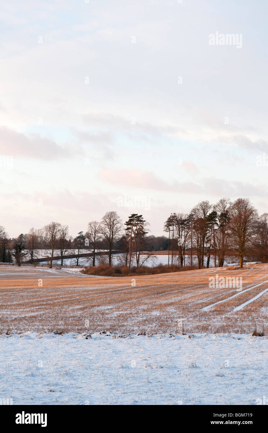 Evening light on an English field after a snow fall Stock Photo - Alamy