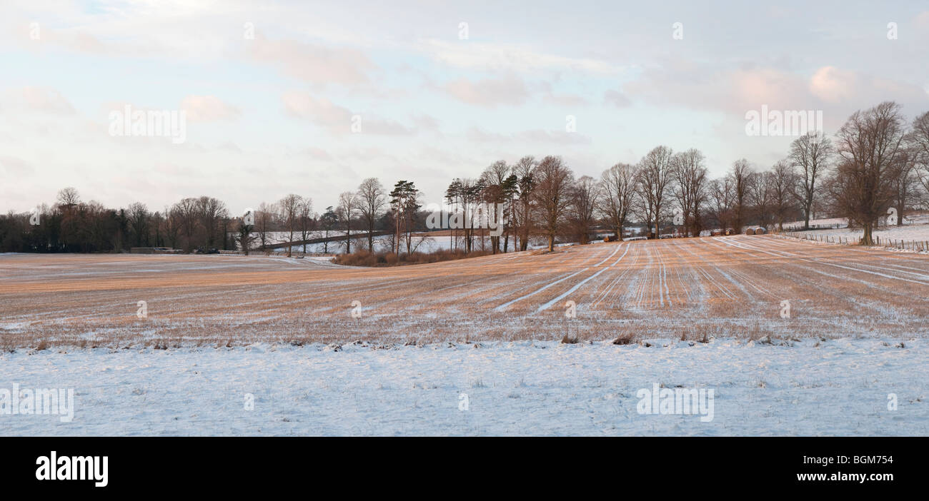 Evening light on an English field after a snow fall Stock Photo - Alamy