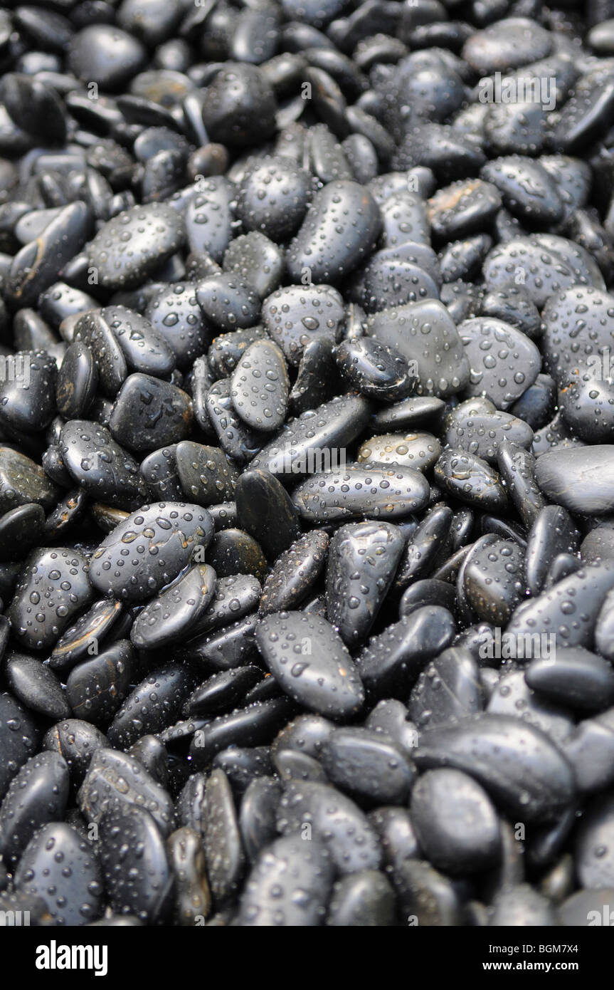 Decorative polished garden pebbles after some rain Stock Photo - Alamy