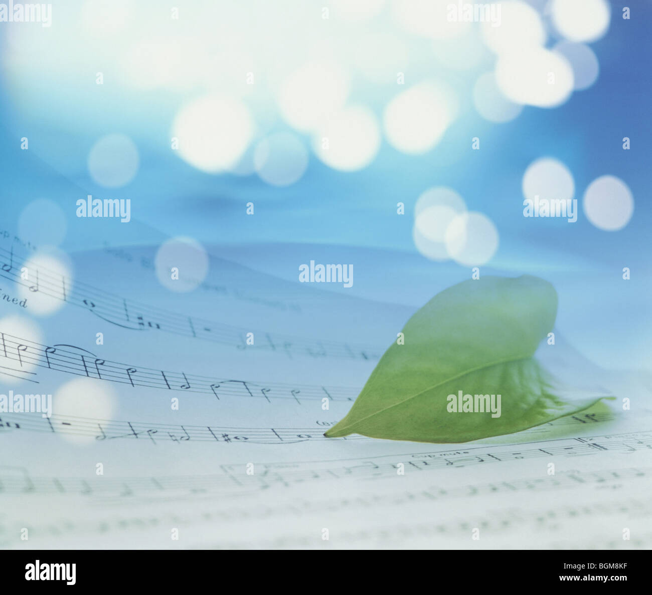 Leaf on music score Stock Photo - Alamy