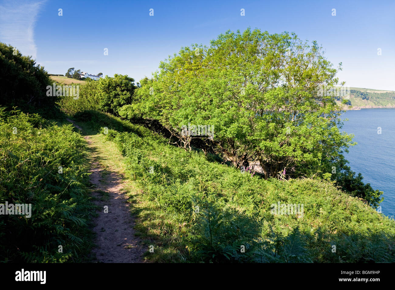 Compass cove devon hi-res stock photography and images - Alamy