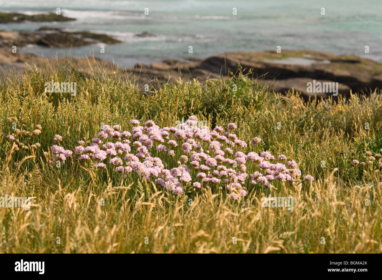 Shore cliff sand marsh hi-res stock photography and images - Alamy